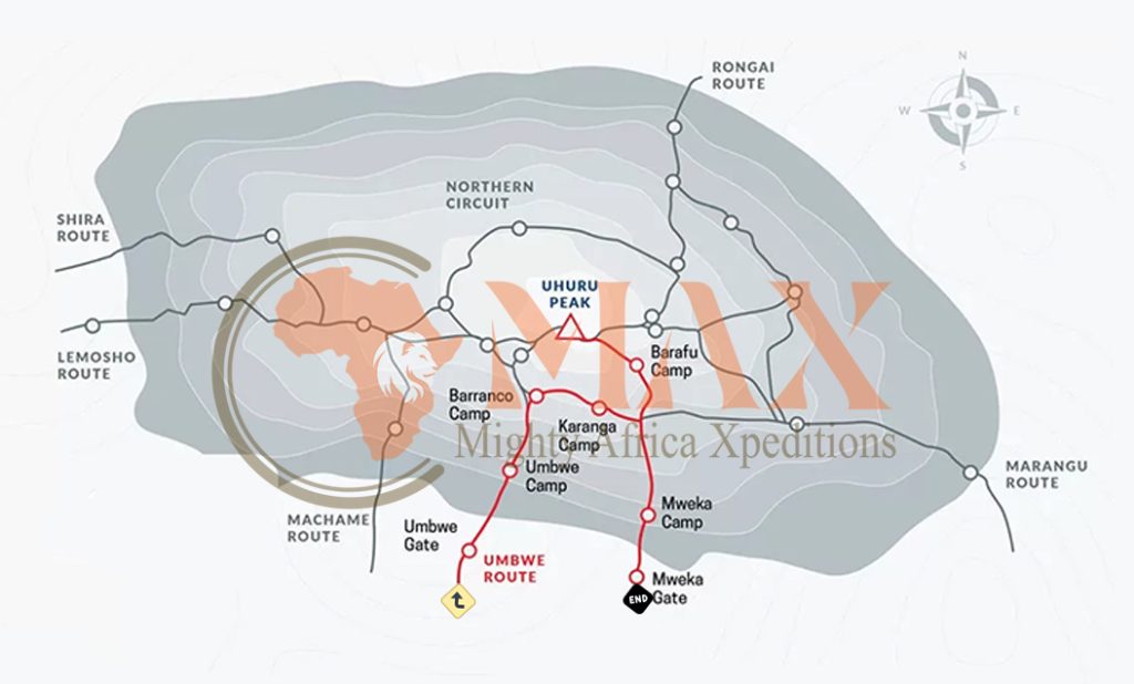 Umbwe Route Kilimanjaro Climb 7 Days - Mighty Africa Xpeditions